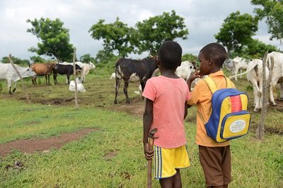 Children combine schooling, herding in rural Ghana - Ghanaian Times