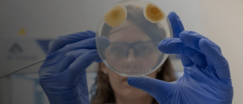 NASA’s Planetary Protection Team Conducts Vital Research for Deep Space ...